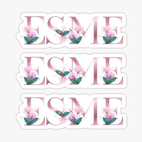 "Custom Esme Name Tag - Esme Label - Personalised Esme " Sticker for ...