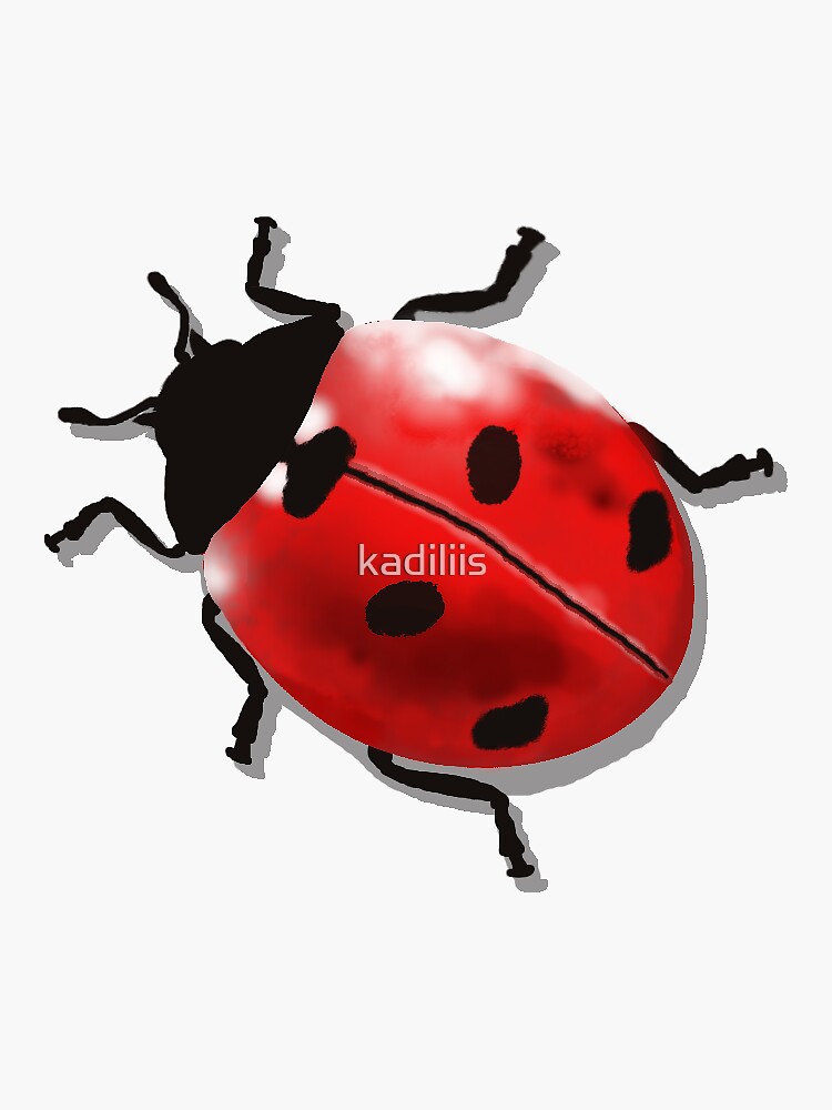 "Ladybird" Sticker for Sale by kadiliis | Redbubble