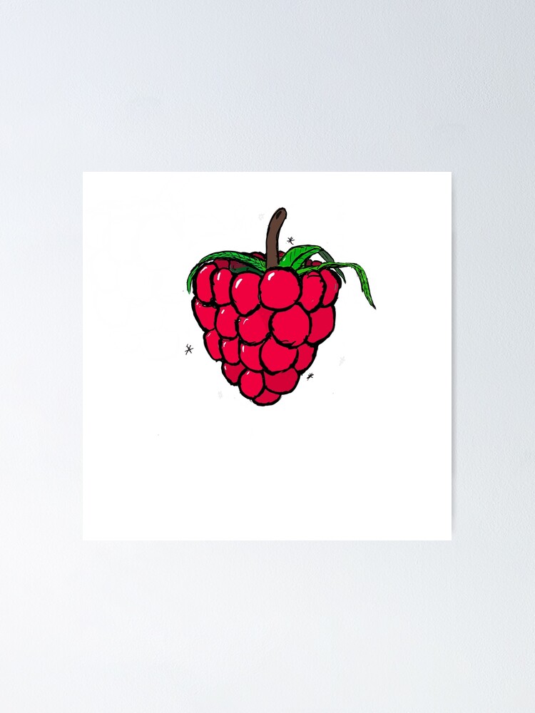 "RASPBERRY" Poster for Sale by Retrobox1 | Redbubble