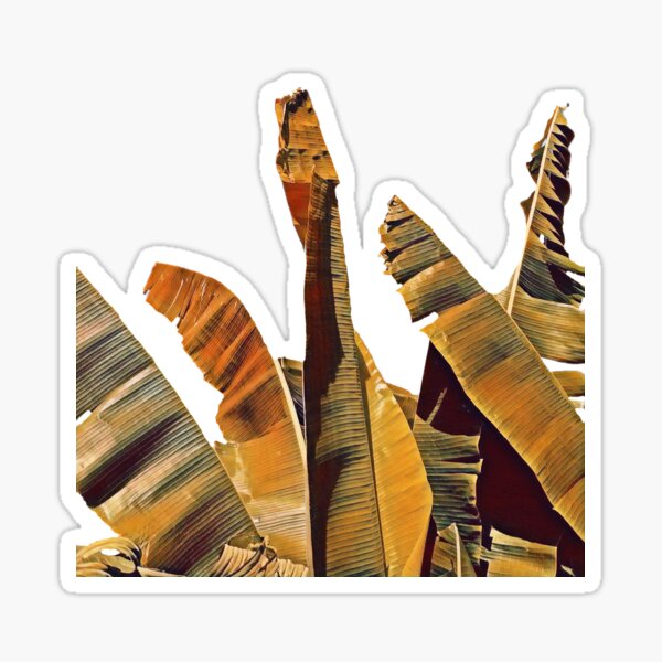 "Happy banana tree" Sticker for Sale by lenkawhoarts | Redbubble