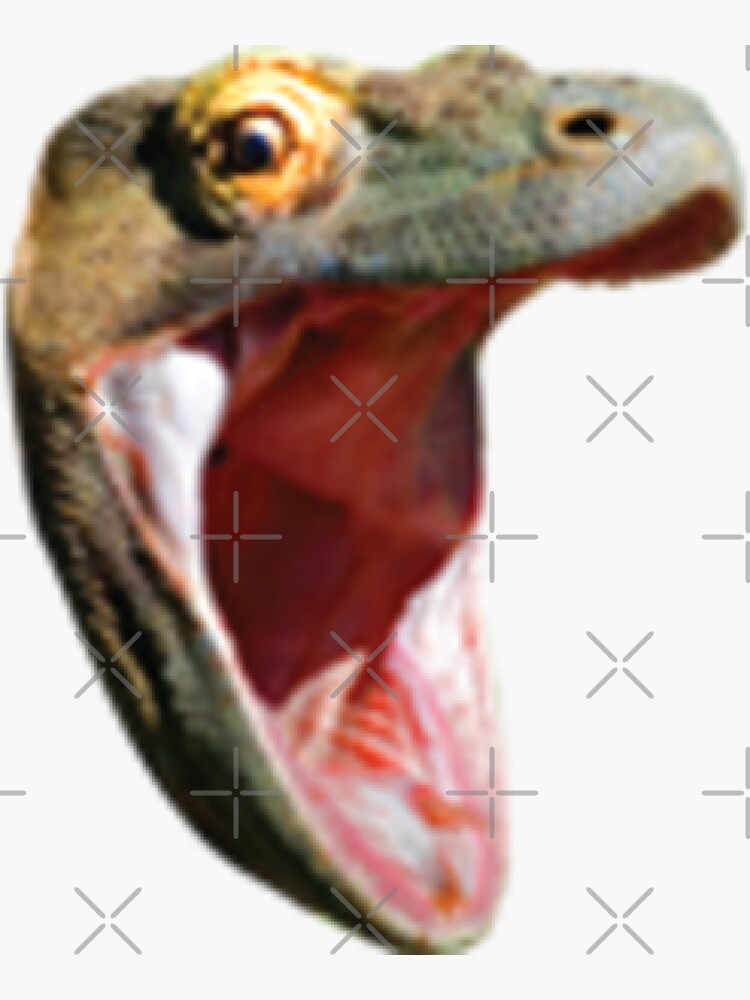 "PogChamp KomodoHype Emote" Sticker for Sale by SimplyNewDesign | Redbubble