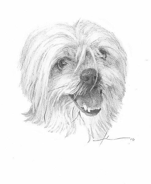 "white dog drawing" by mike theuer | Redbubble