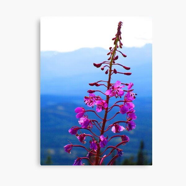 Smithers Canvas Prints | Redbubble