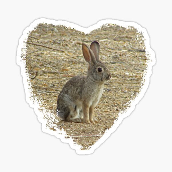 "Bunny In Heart Love Bunnies Wild Animals" Sticker by natureinfocus ...