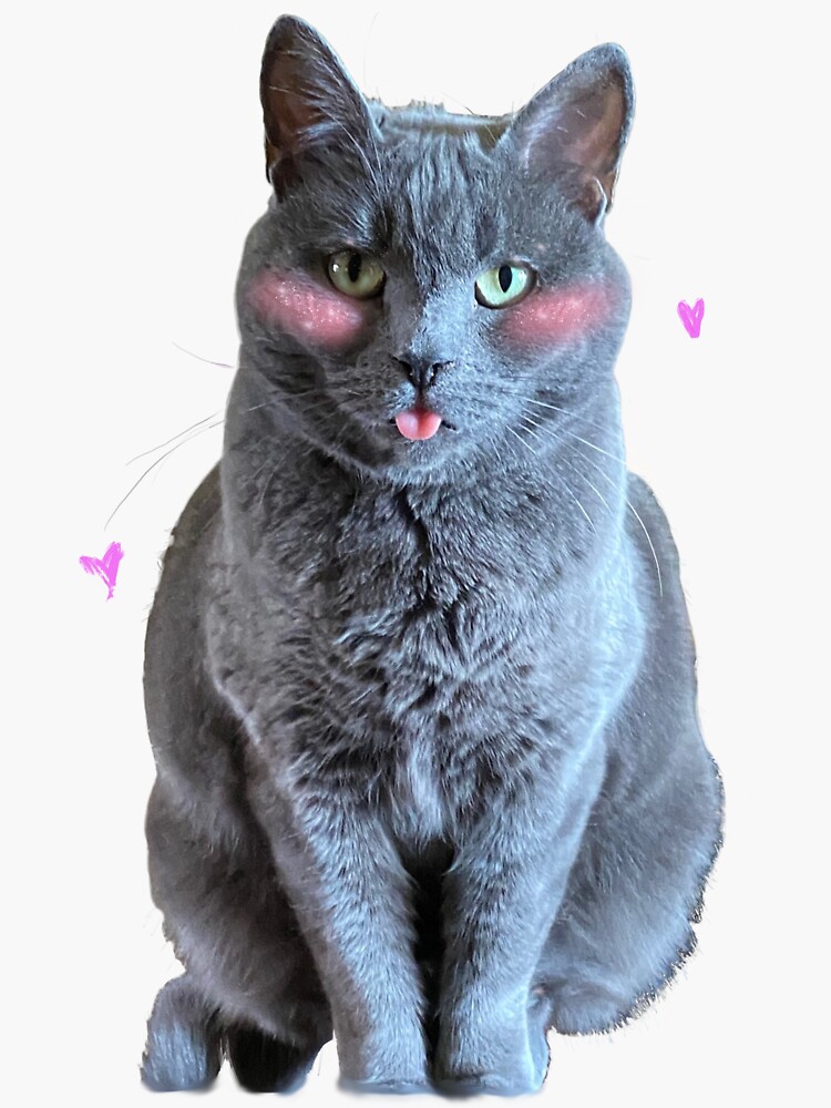 "Luna Cat" Sticker for Sale by SarahViiyaArt | Redbubble