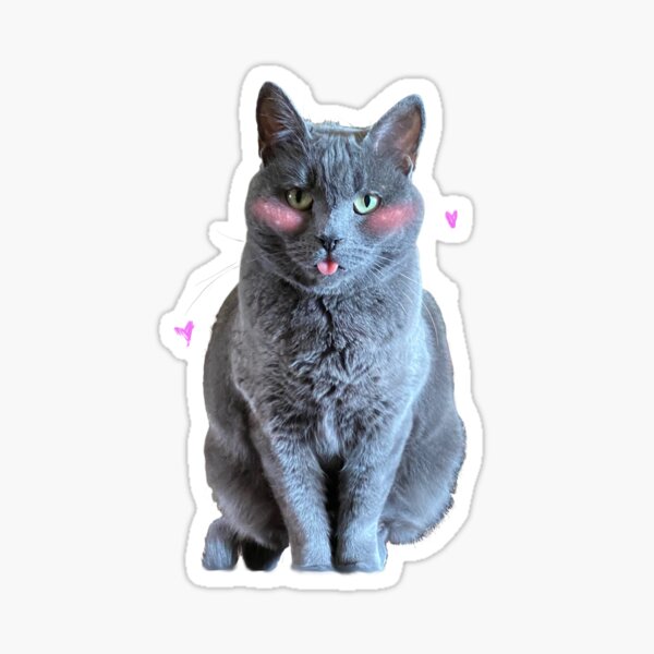 "Luna Cat" Sticker for Sale by SarahViiyaArt | Redbubble