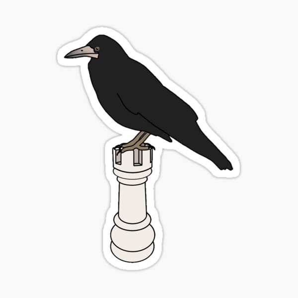 "Rook On A Rook" Sticker for Sale by taylorrowan | Redbubble