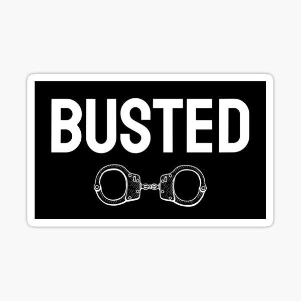 "Busted" Sticker for Sale by InputVSOutput | Redbubble