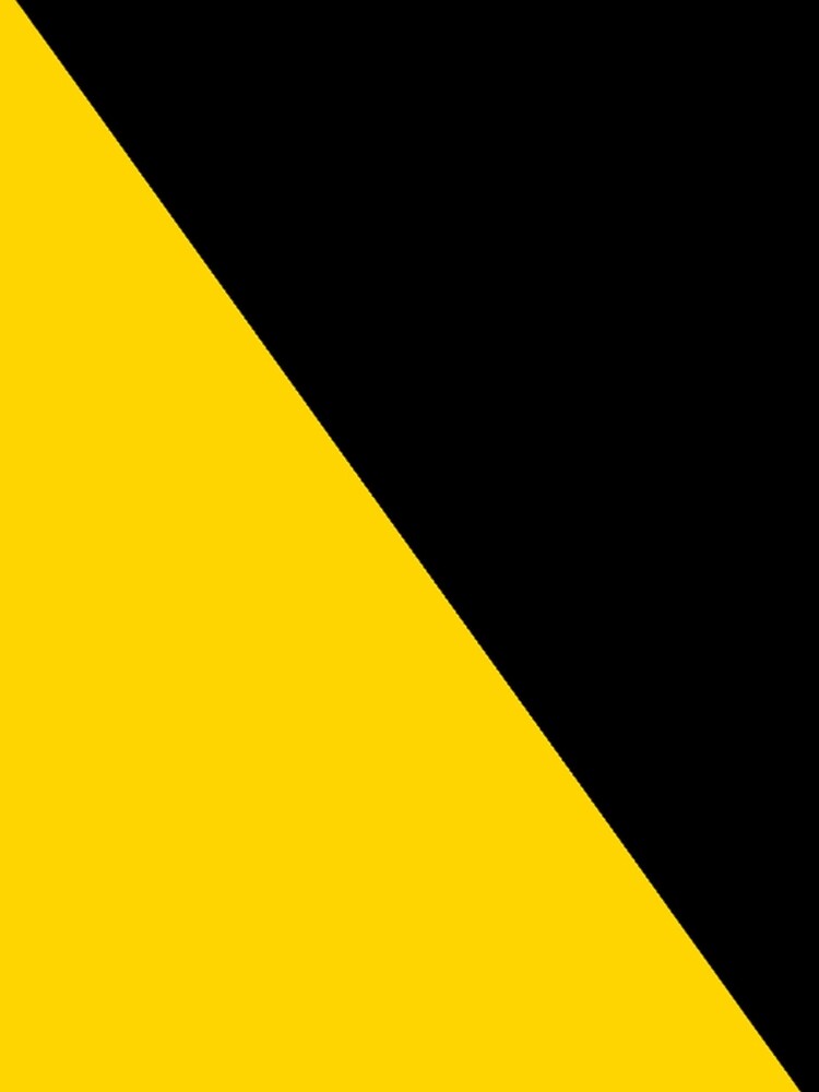 "AnCap Flag" Mini Skirt for Sale by RipeBananas | Redbubble