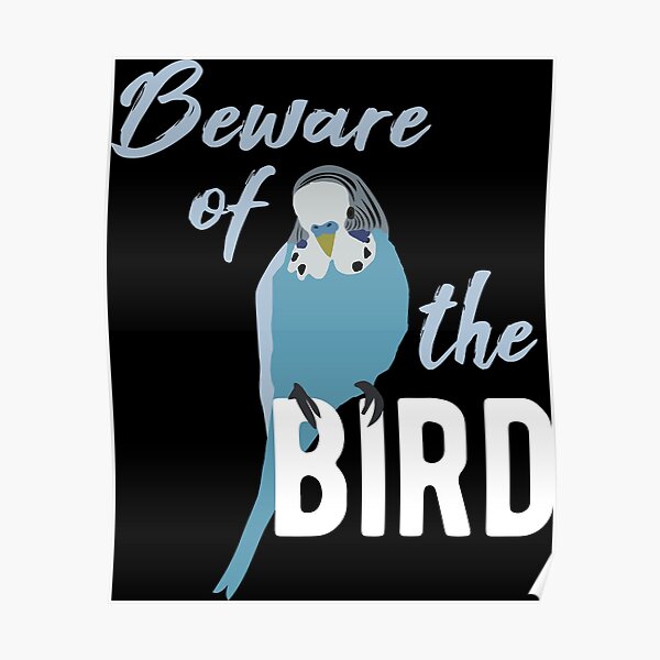 "Beware of the bird. Beware of the budgie, budgie with lettering ...