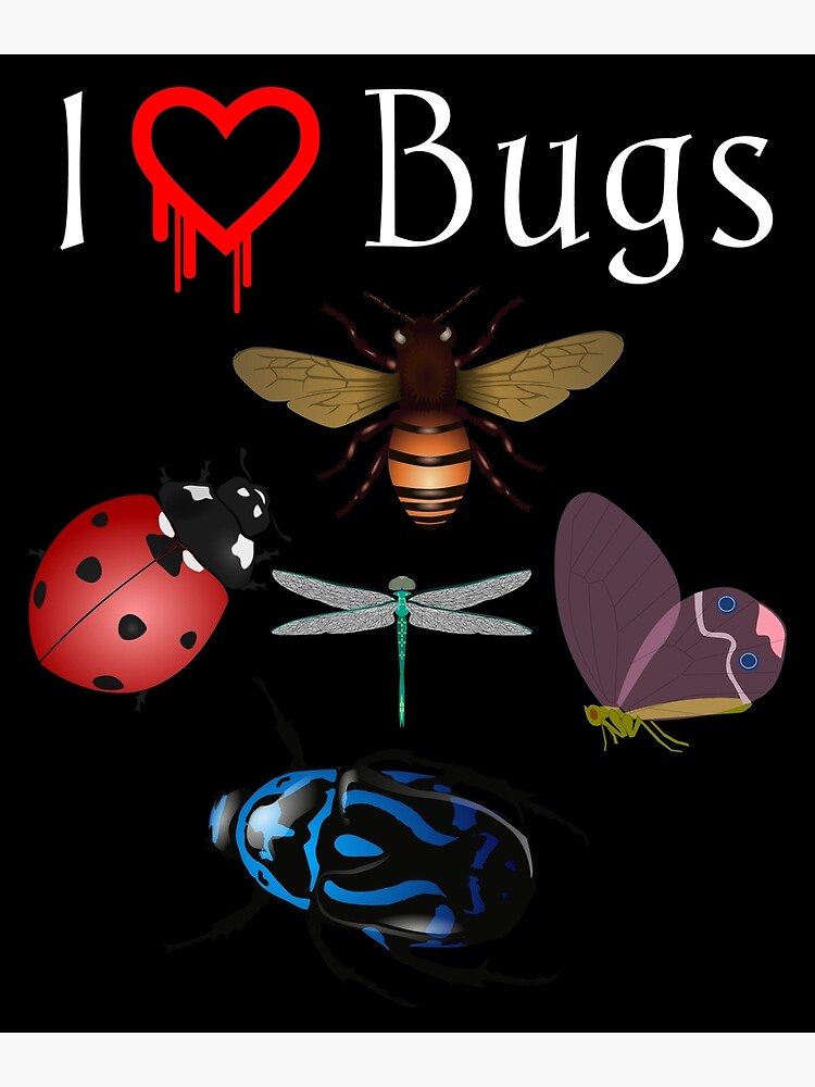 "Bug Collecting gift idea,I Love Bugs Insect Bug Collecting design for ...