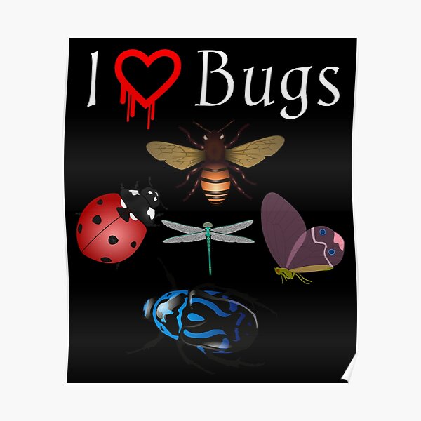 "Bug Collecting gift idea,I Love Bugs Insect Bug Collecting design for ...