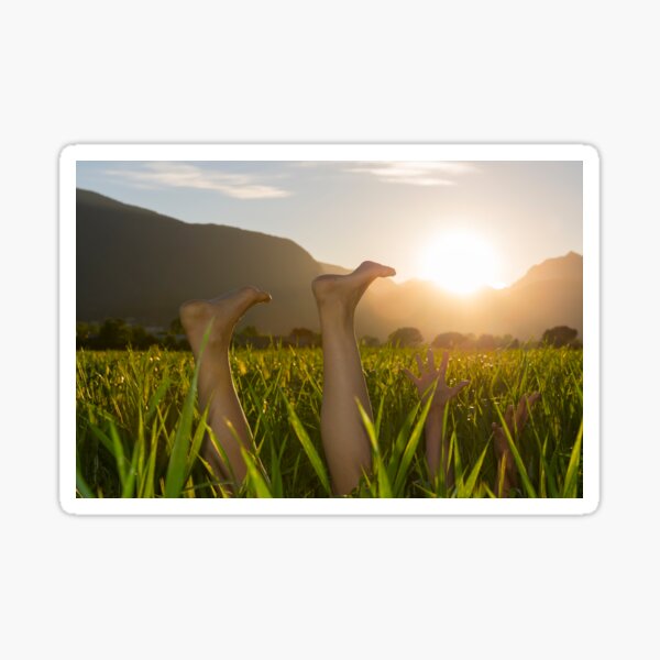 "Freedom" Sticker for Sale by matsilvan | Redbubble