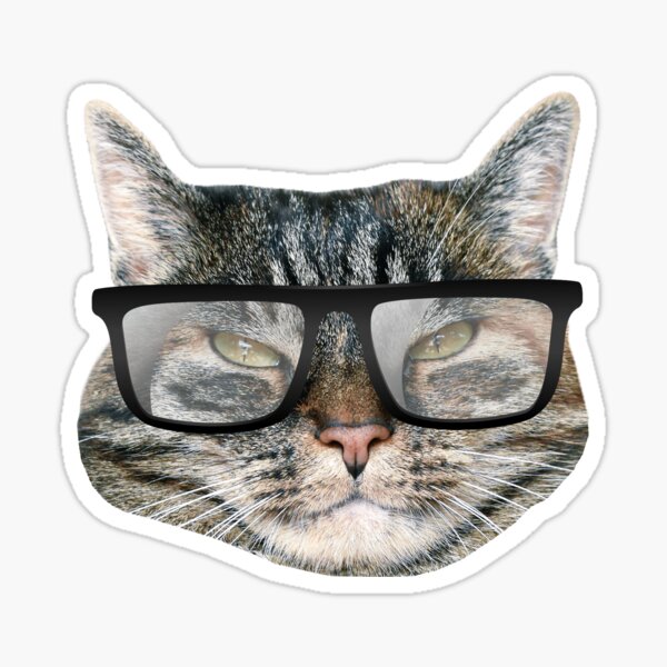 "Cat with glasses" Sticker for Sale by victorfreitas | Redbubble