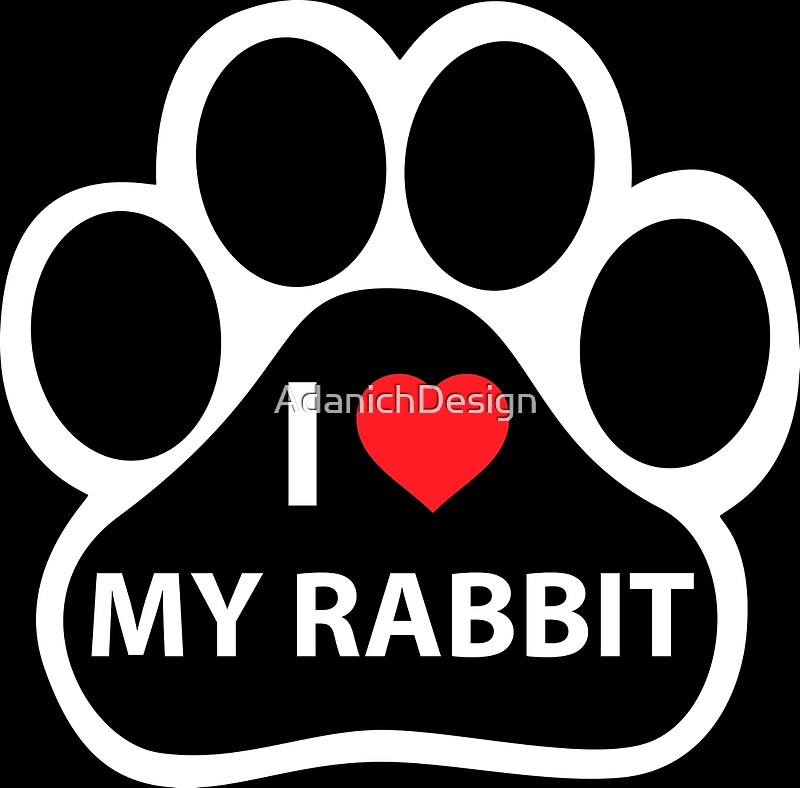 « maintenant un I "Heart" My Rabbit! Montrez votre amour pour votre ami ...