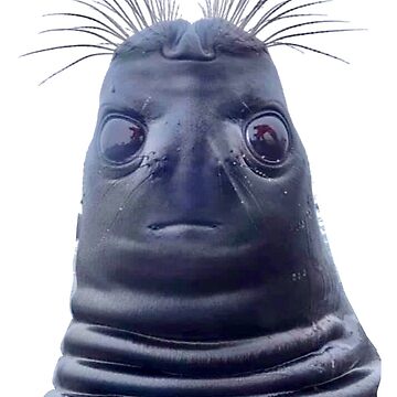 "Bad Angle Seal" Art Print for Sale by Gabby-Stickerz | Redbubble