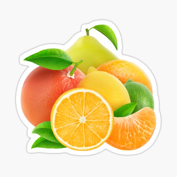 "Various citrus fruits" Sticker by 6hands | Redbubble