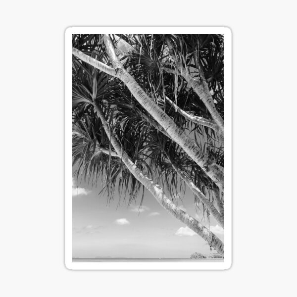 "Ko Lanta Beach - Black and White" Sticker for Sale by BryonyRoseC ...