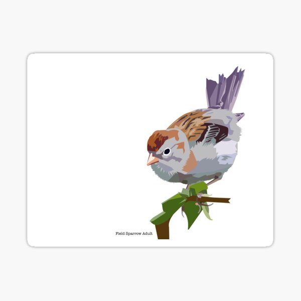 "Field Sparrow" Sticker for Sale by areda | Redbubble