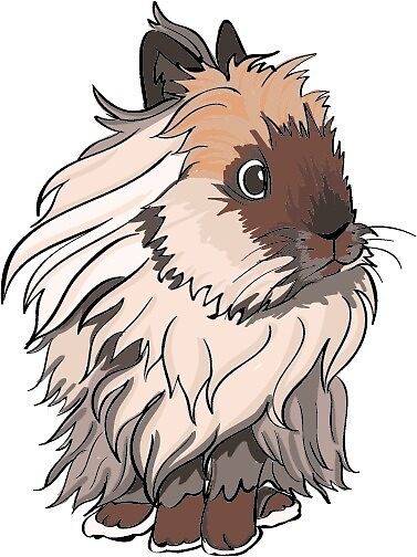 "Lionhead Rabbit" by karinachowtime | Redbubble