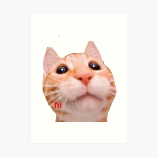 Gloop Cat Art Prints | Redbubble