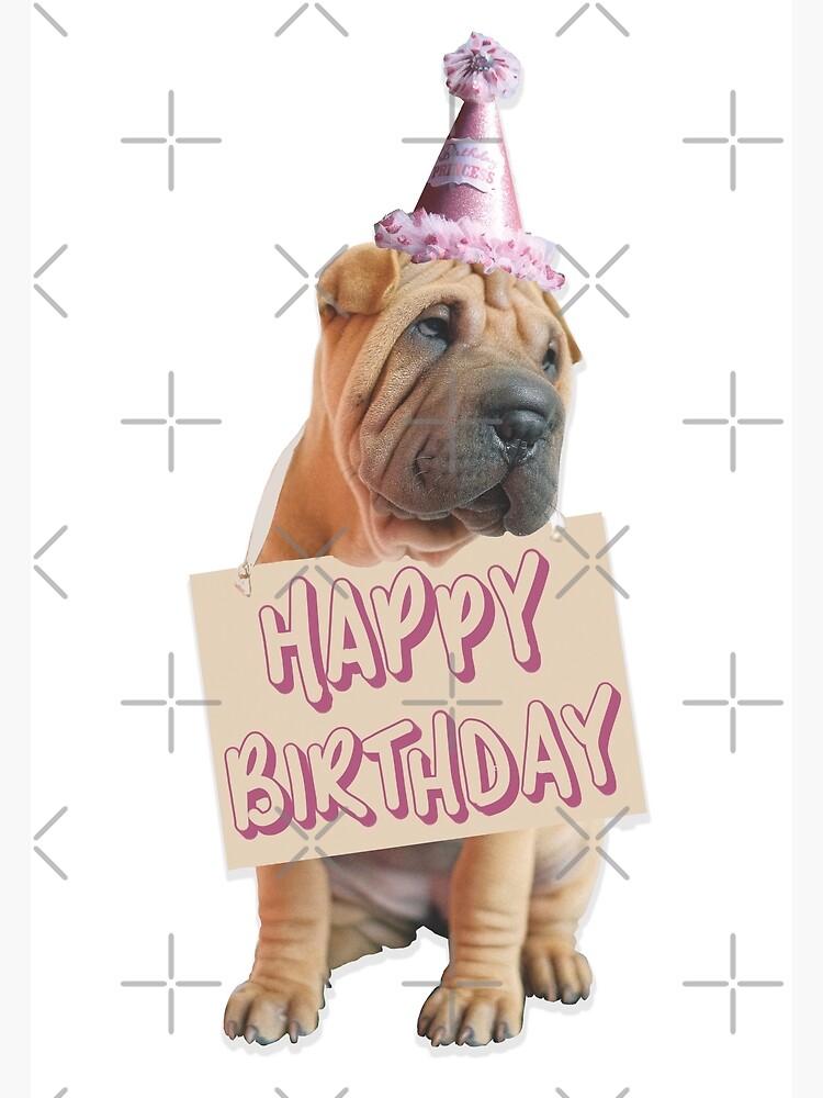 "Shar Pei happy birthday girl" Poster by MeYouUs | Redbubble