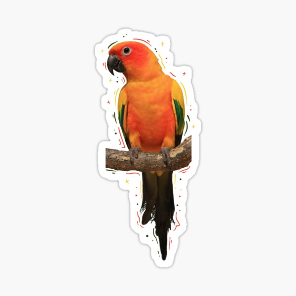 "Artsy sun conure" Sticker for Sale by Mischiefsticker | Redbubble