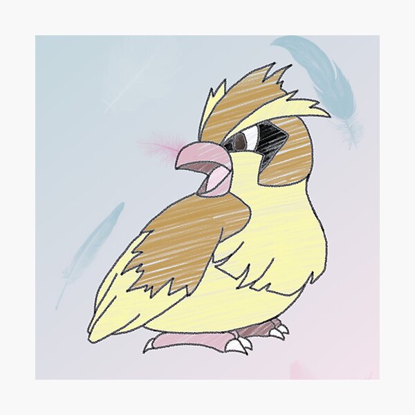 Pidgey Photographic Prints | Redbubble