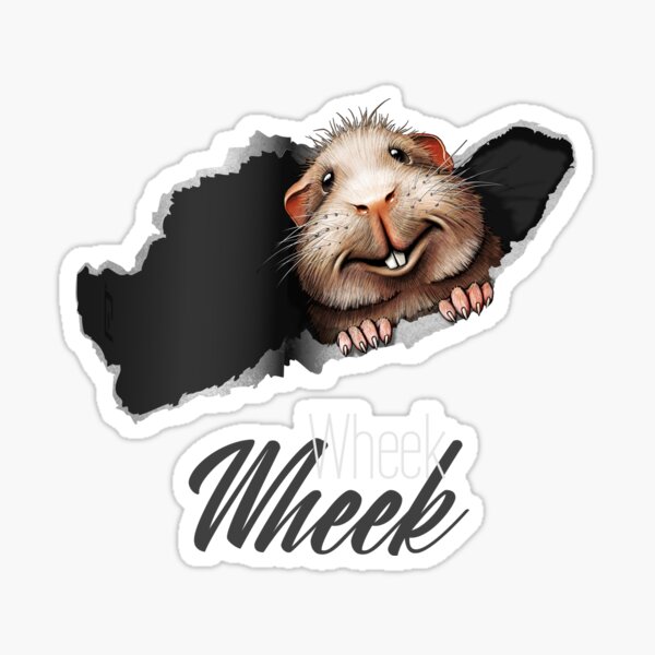 "Guinea Pig Surprise Wheek Wheek" Sticker for Sale by FD-Design | Redbubble