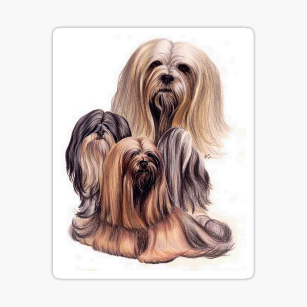 "Lhasa Apso Gallimaufry" Sticker for Sale by BarbBarcikKeith | Redbubble
