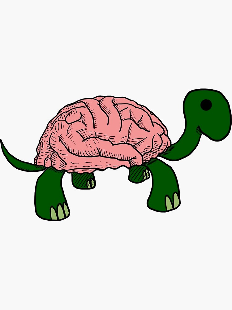 "Slow and Steady Turtle Brain" Sticker for Sale by clint-hall | Redbubble