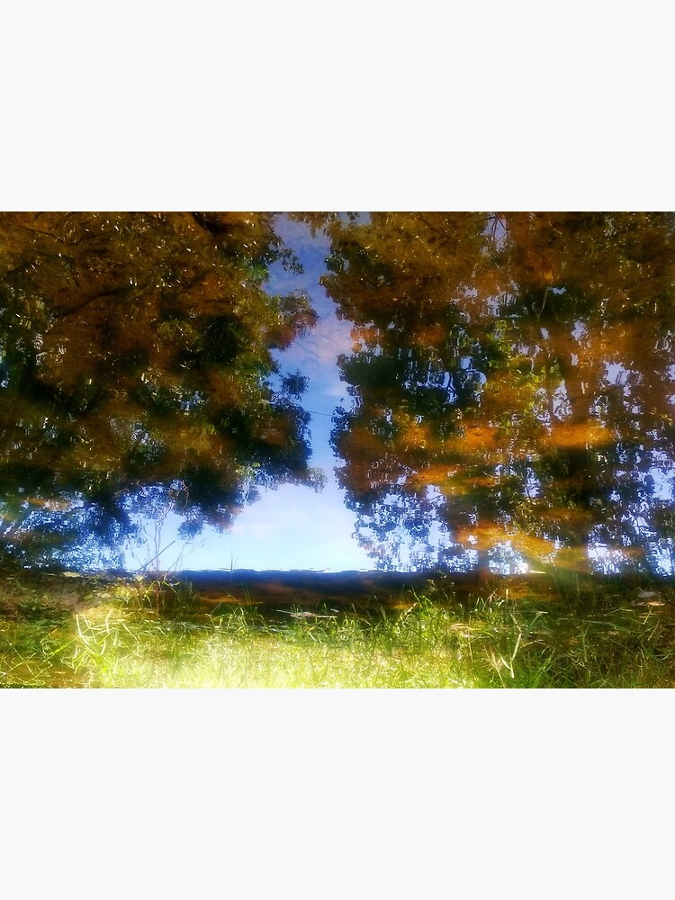 Póster «Hermoso reflejo del árbol sobre el agua» de Fateenphoto | Redbubble