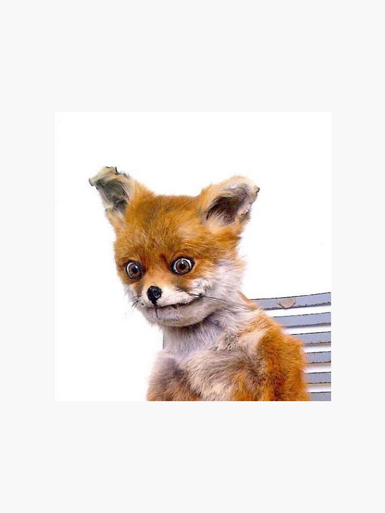 "Disturbed Fox" Sticker for Sale by CrispLoaf | Redbubble