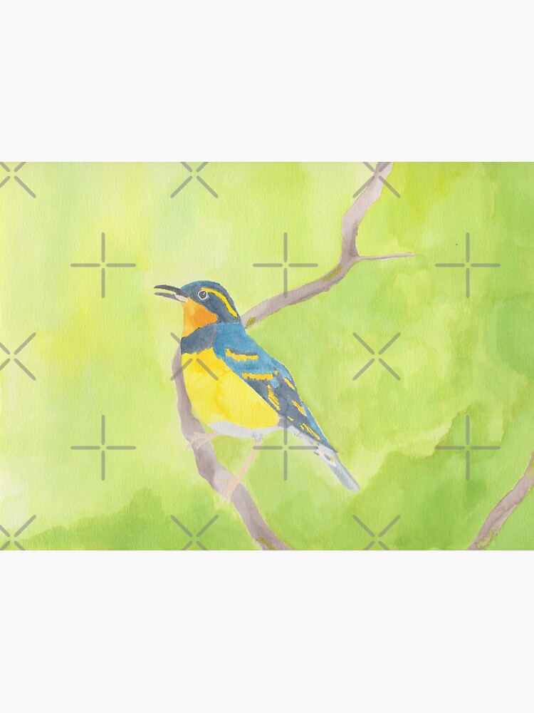 "Varied Thrush watercolor bird art wildlife painting" Sticker for Sale ...
