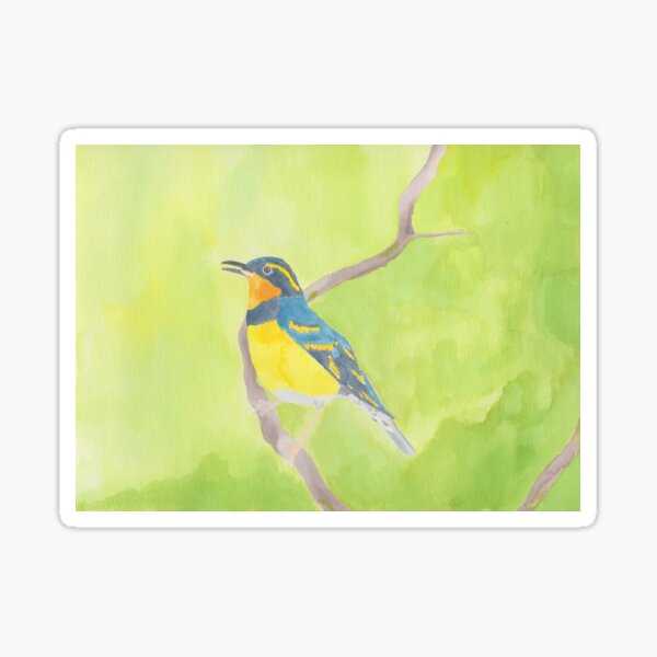 "Varied Thrush watercolor bird art wildlife painting" Sticker for Sale ...