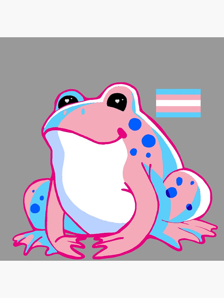 "Trans frog with grey background" Sticker by NikDesigns | Redbubble