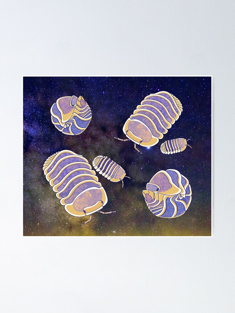 "Isopods in Space (Cubaris Jupiter)" Poster for Sale by Jedi-Artist ...