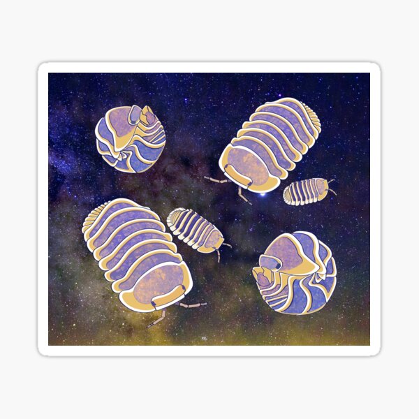 "Isopods in Space (Cubaris Jupiter)" Sticker for Sale by Jedi-Artist ...