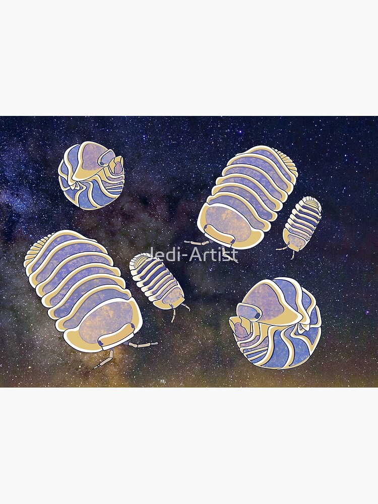 "Isopods in Space (Cubaris Jupiter)" Poster for Sale by Jedi-Artist ...