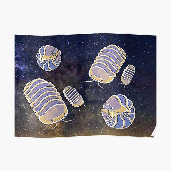 "Isopods in Space (Cubaris Jupiter)" Poster for Sale by Jedi-Artist ...