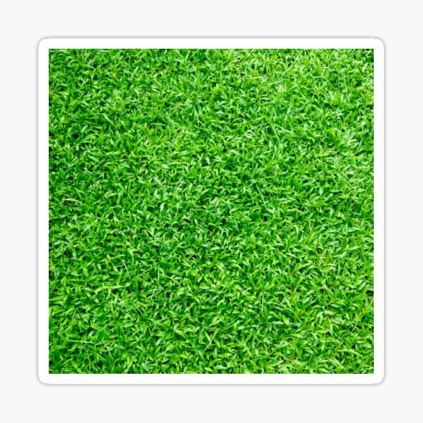 "Lawn, Grass and Turf" Sticker by crimsontoad1 | Redbubble