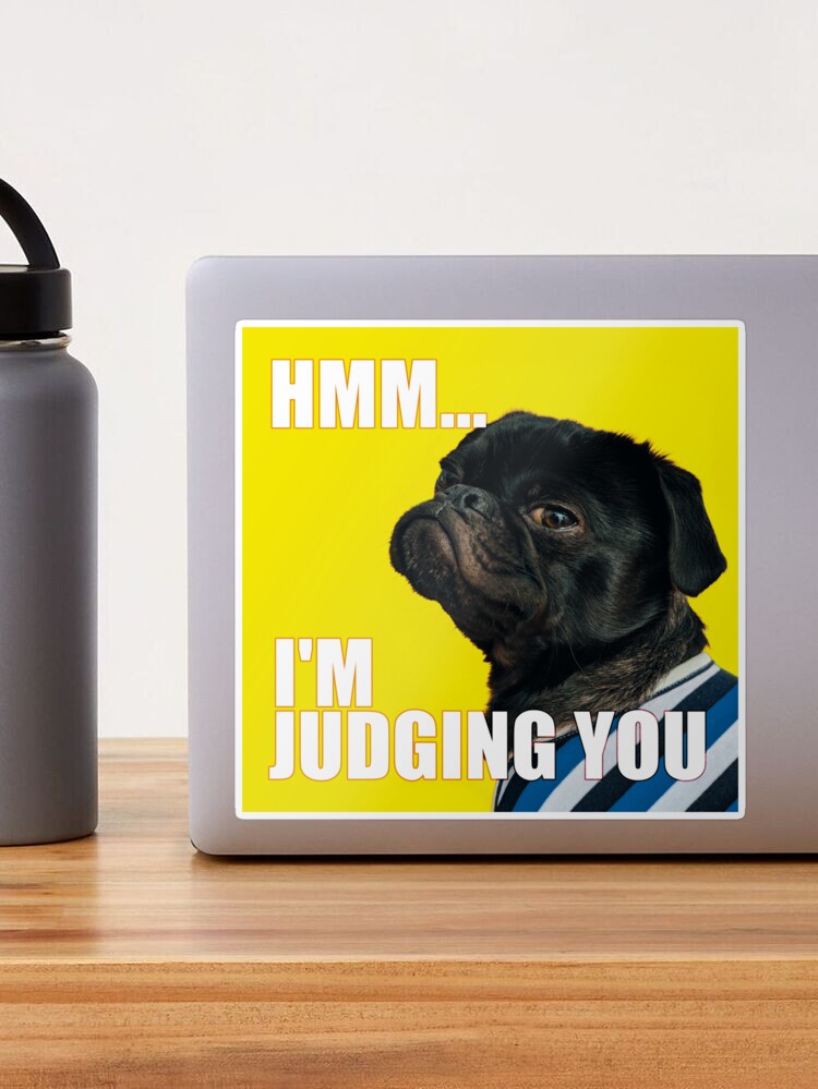 Im Judging You Meme
