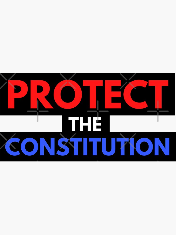 "Protect the Constitution" Sticker by Zentropik | Redbubble