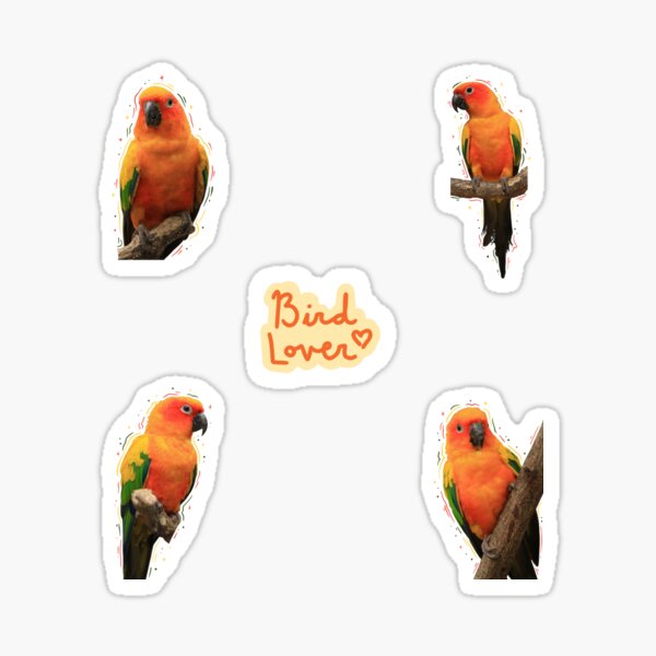 "Artsy sun conure sticker set" Sticker by Mischiefsticker | Redbubble