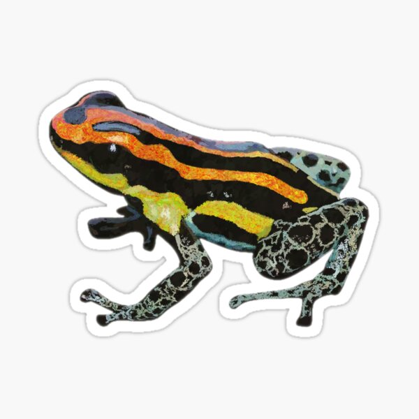 "Orange stripe dart frog" Sticker for Sale by sarcohpagus | Redbubble