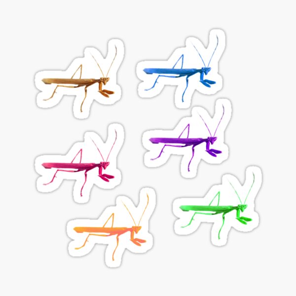 "Rainbow Praying Mantis" Sticker for Sale by Iurgis | Redbubble