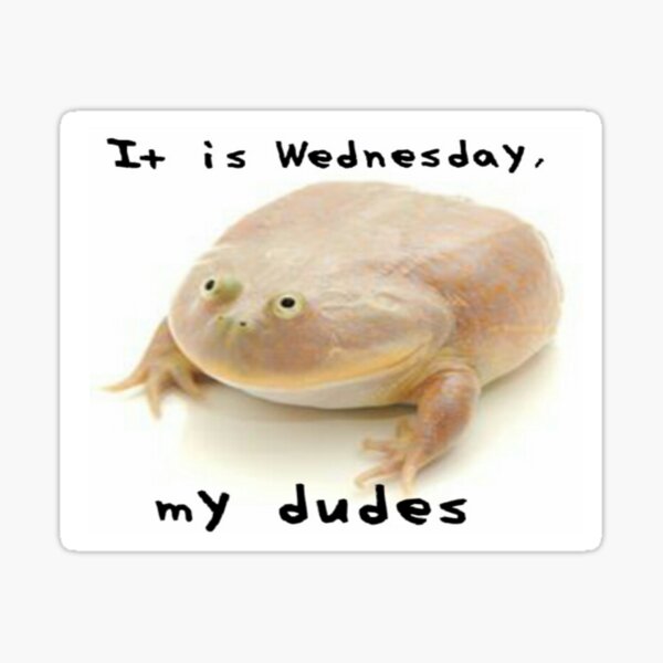 "It is Wednesday my dudes" Sticker for Sale by YoBoiRedgie | Redbubble