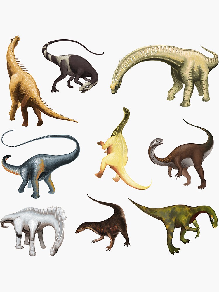 "Sauropodomorpha: The Cladogram" Sticker for Sale by franzanth | Redbubble
