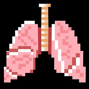 "Pixel Art Lungs Body Diagram" Essential T-Shirt for Sale by mia monged ...