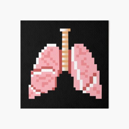 "Pixel Art Lungs Body Diagram" Art Board Print by josieangell | Redbubble